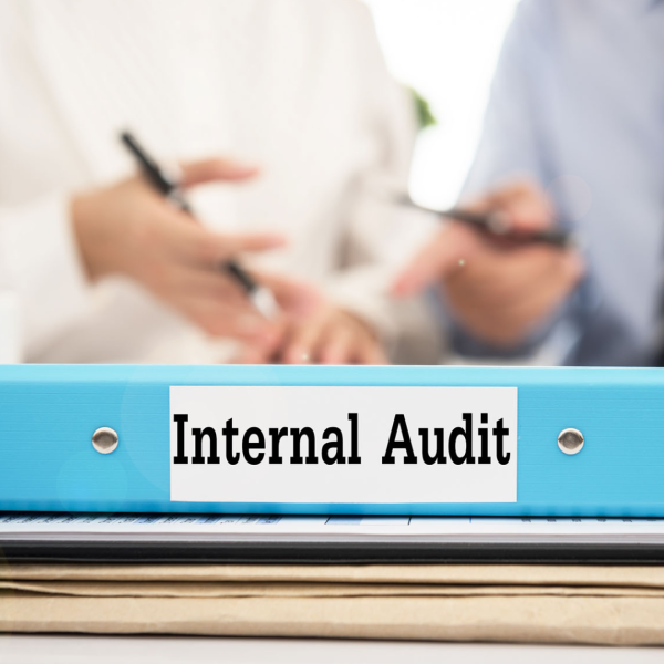 Audit Resolution - Best Practices - Audit Issue Management Software Audit Resolution - Best Practices - Audit Issue Management Software